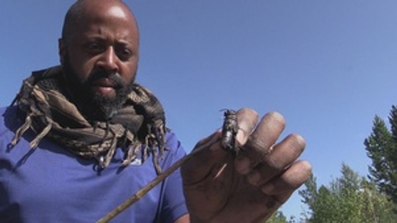 Alone: Where to Watch and Stream Online | Reelgood