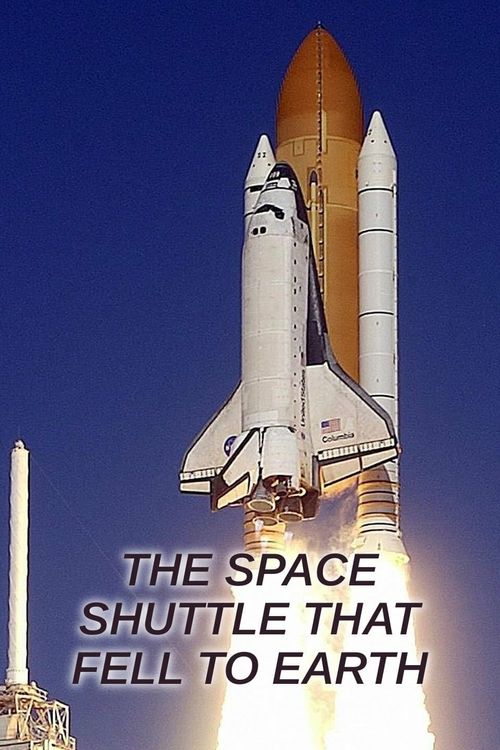 Space Shuttle Columbia: The Final Flight: Where to Watch and Stream Online | Reelgood
