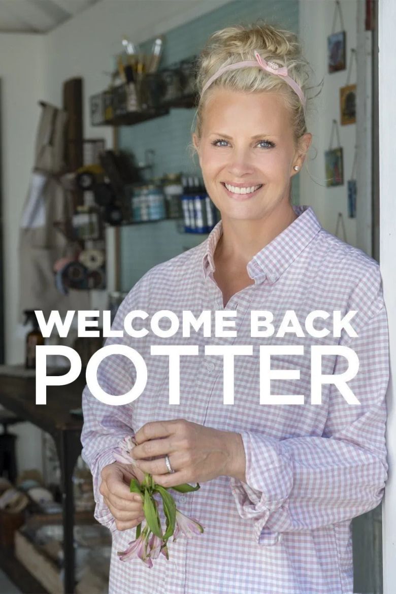 Welcome Back Potter | Stream Safely