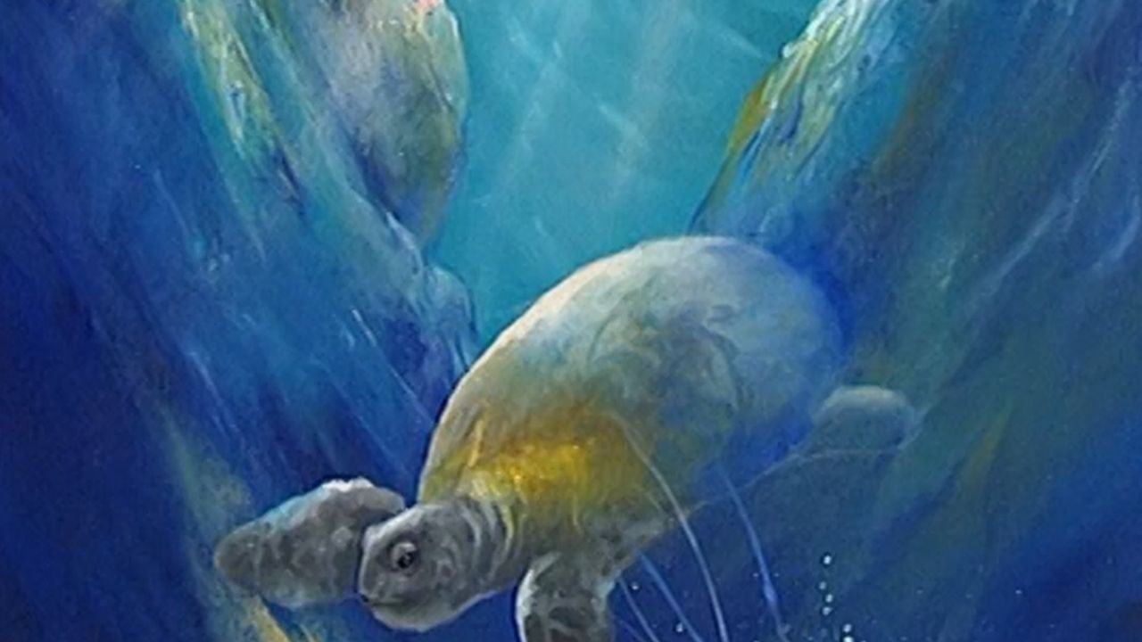 The Beauty of Oil Painting with Gary Jenkins: Where to Watch and Stream ...