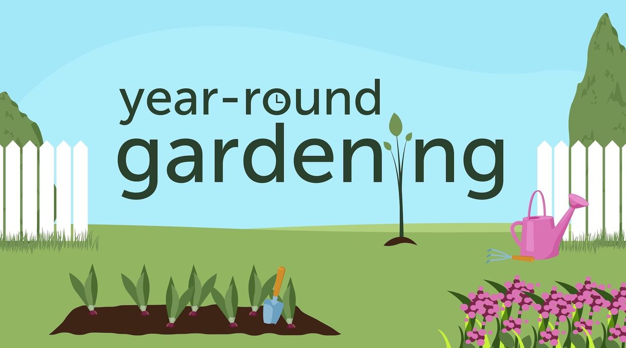 Jerry Baker's Year 'Round Gardening Season 1: Where To Watch Every Episode | Reelgood