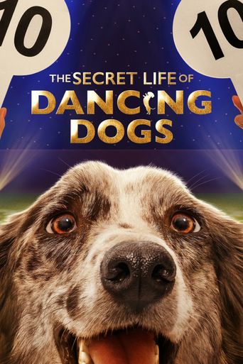 The Secret Life of Dancing Dogs: Where to Watch and Stream Online ...