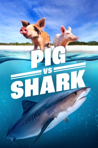 Pig vs. Shark: Where to Watch and Stream Online | Reelgood