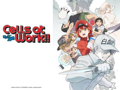 Cells at Work!: Where to Watch and Stream Online | Reelgood