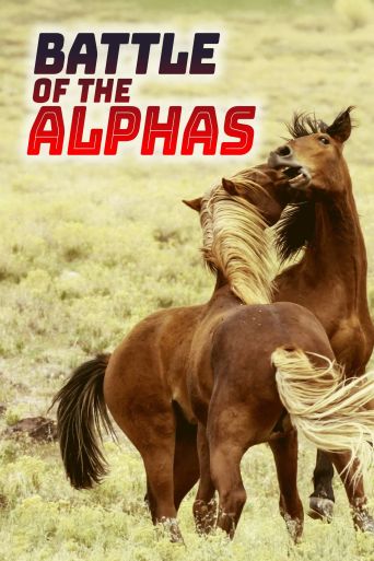Battle of the Alphas Season 1: Where To Watch Every Episode | Reelgood