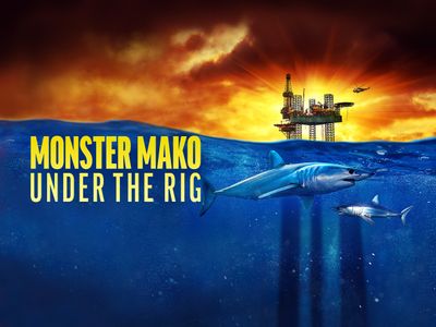 Monster Mako Under the Rig: Where to Watch and Stream Online | Reelgood
