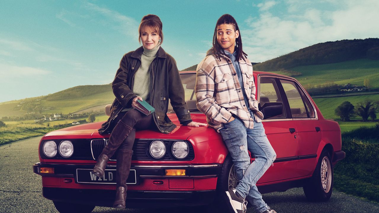 Harry Wild Season 1: Where To Watch Every Episode | Reelgood