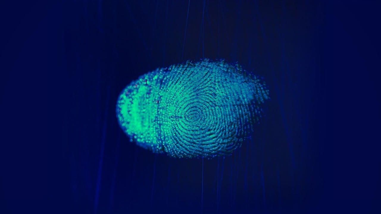 Forensic Factor: A New Era: Where to Watch and Stream Online | Reelgood