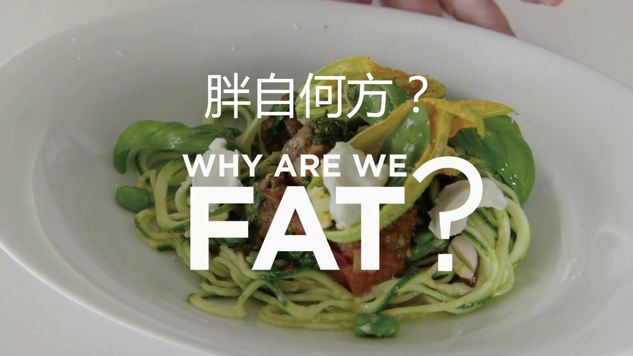 Why Are We Fat?: Where to Watch and Stream Online | Reelgood