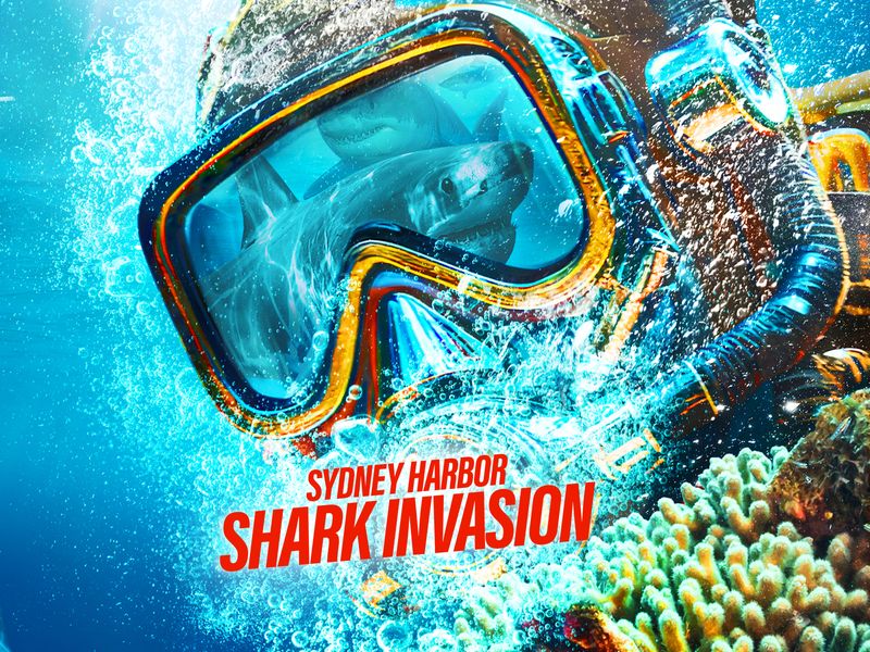 Sydney Harbor Shark Invasion: Where to Watch and Stream Online | Reelgood