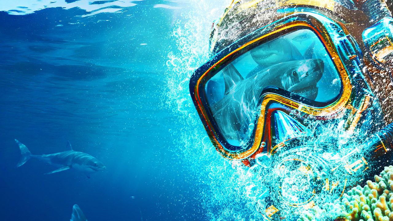 Sydney Harbor Shark Invasion: Where to Watch and Stream Online | Reelgood