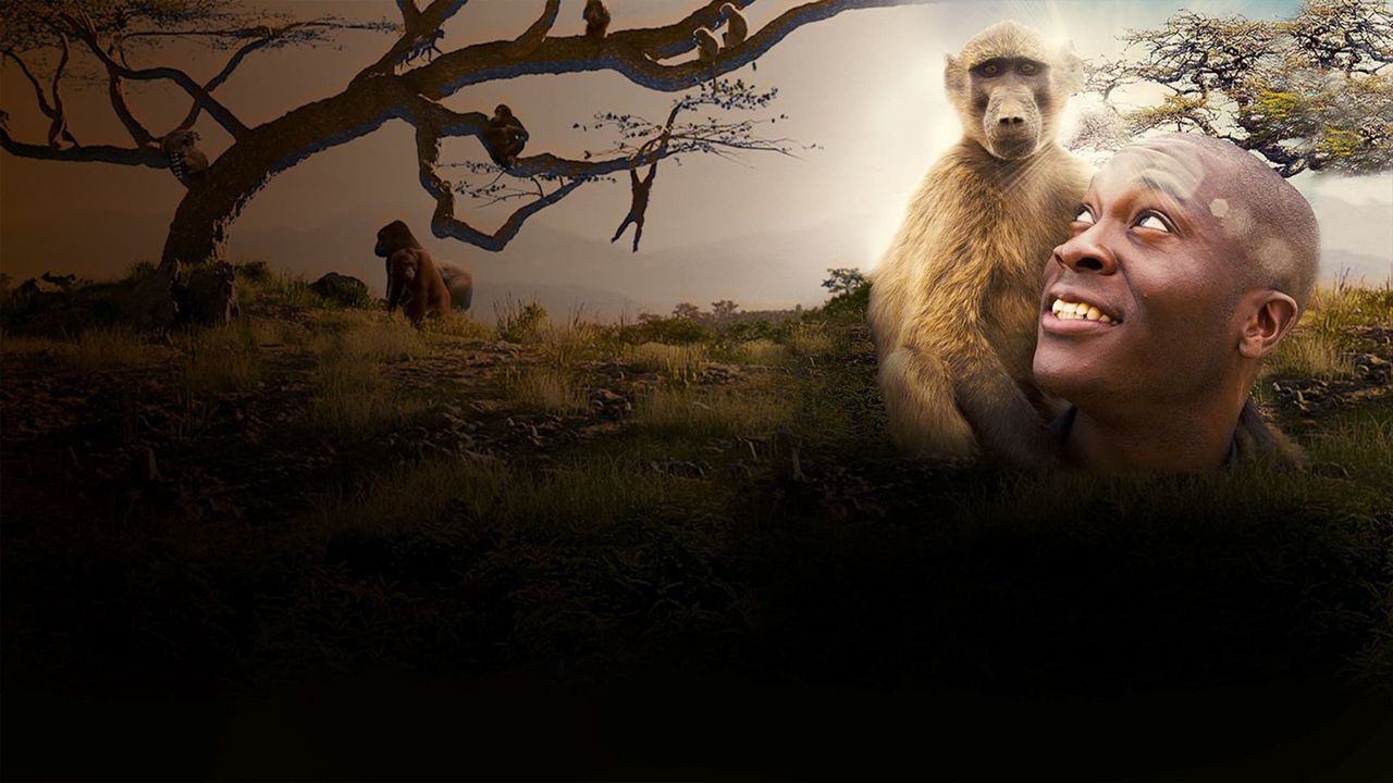 Patrick Aryee's Wild World: Where to Watch and Stream Online | Reelgood