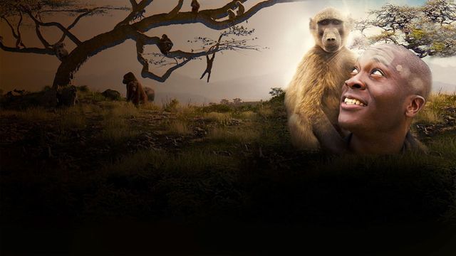 Patrick Aryee's Wild World Season 1: Where To Watch Every Episode ...