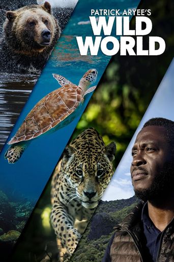 Patrick Aryee's Wild World Season 1: Where To Watch Every Episode ...