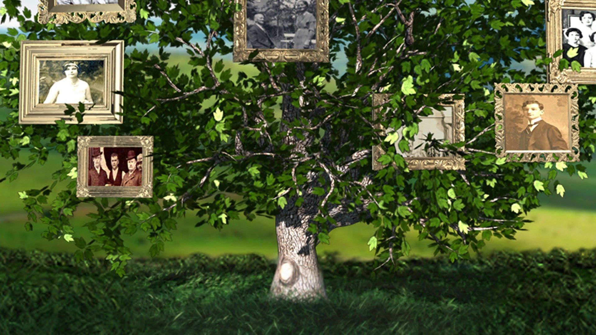 Strange Inheritance - Watch Episodes on fuboTV, Tubi, DIRECTV STREAM ...