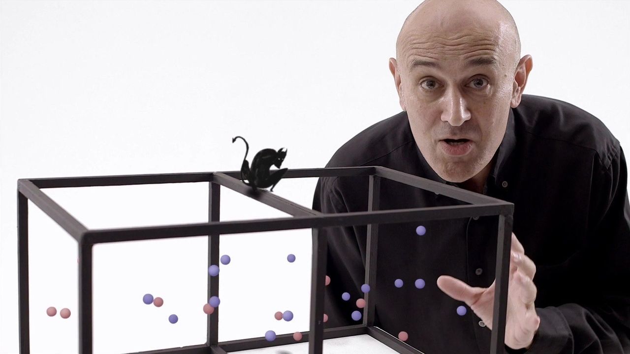 Order And Disorder: Where to Watch and Stream Online | Reelgood