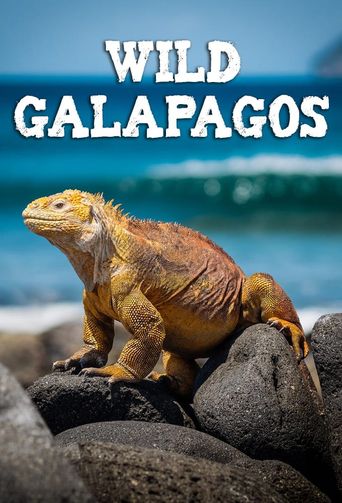 Wild Galápagos Season 1: Where To Watch Every Episode | Reelgood