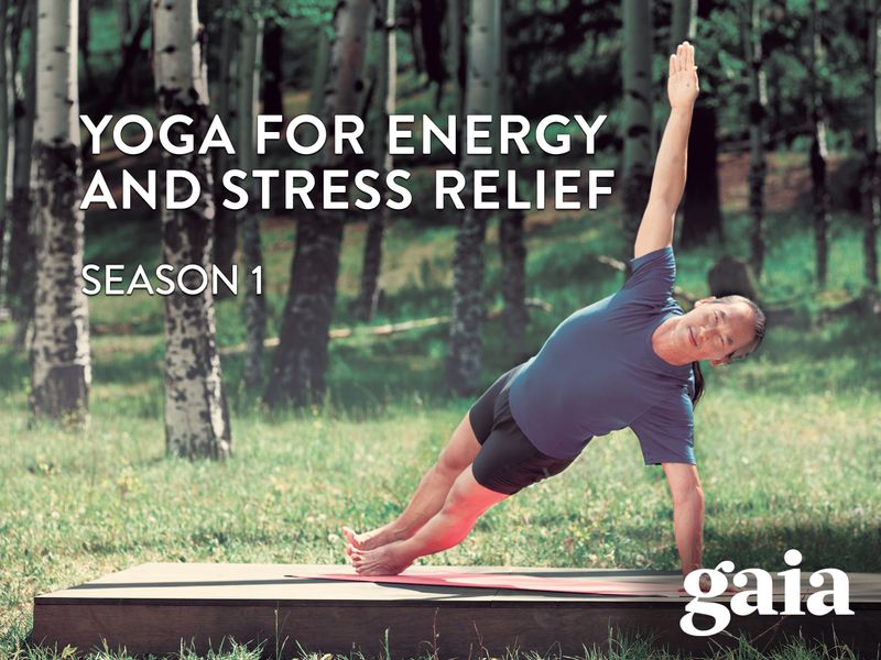 Gaiam: Rodney Yee Yoga for Energy and Stress Relief: Where to Watch and ...