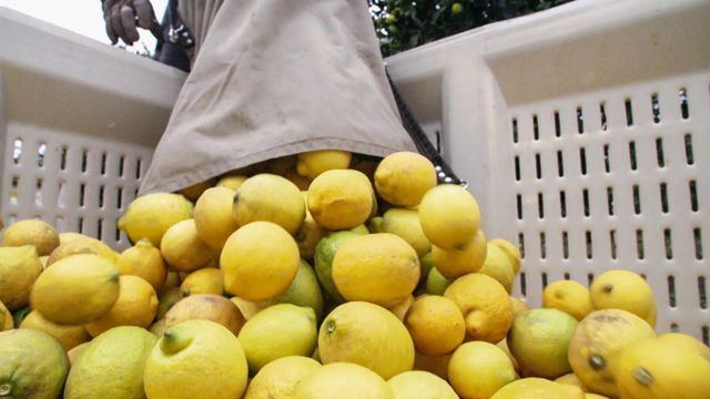 Food Factory USA Season 1: Where To Watch Every Episode | Reelgood