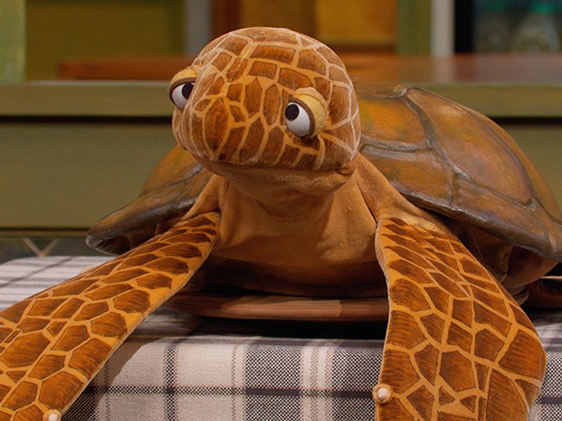 Sesame Street: Where to Watch and Stream Online | Reelgood