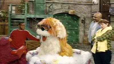 Sesame Street Season 31: Where To Watch Every Episode | Reelgood