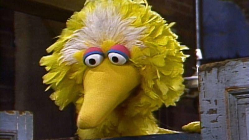 Sesame Street: Where to Watch and Stream Online | Reelgood