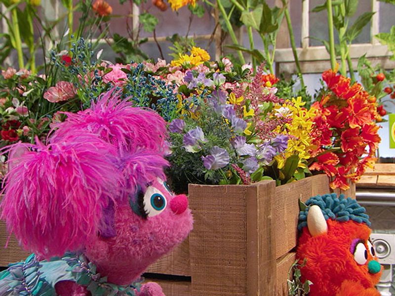 Sesame Street: Where to Watch and Stream Online | Reelgood