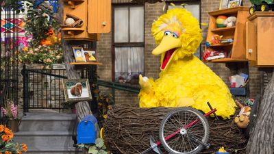 Sesame Street Season 38: Where To Watch Every Episode | Reelgood