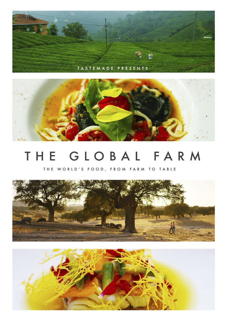 The Global Farm | Stream Safely