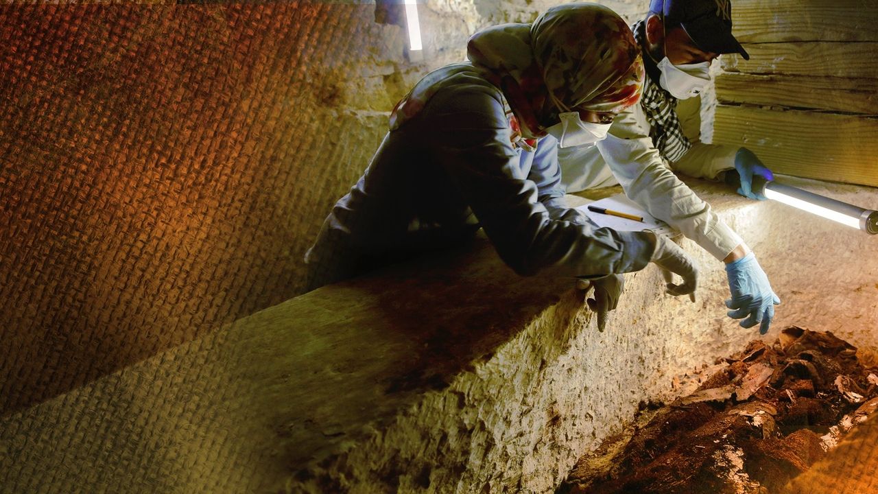 Kingdom of the Mummies: Where to Watch and Stream Online | Reelgood