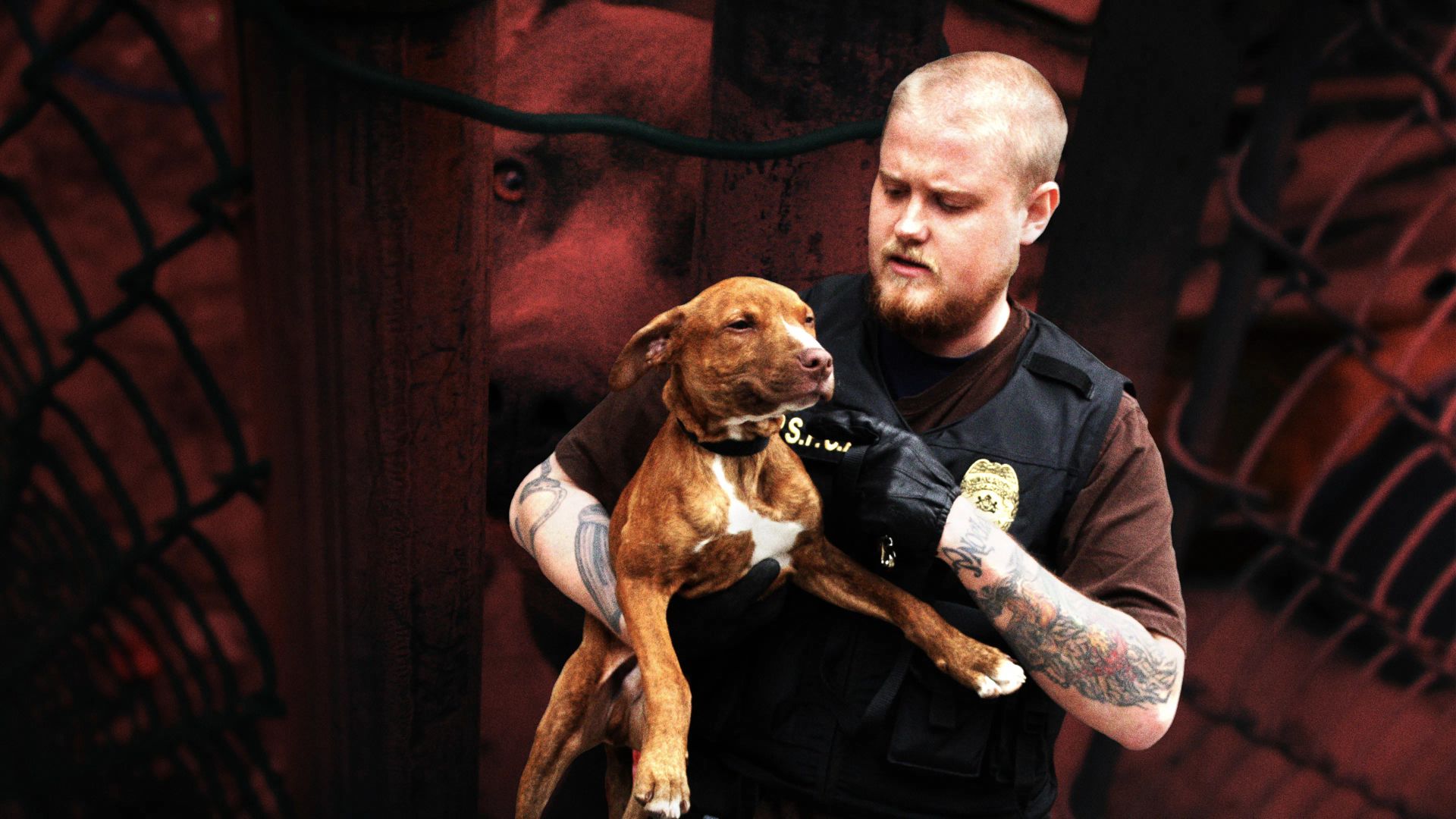 Philly Undercover - Where to Watch Every Episode Streaming Online | Reelgood