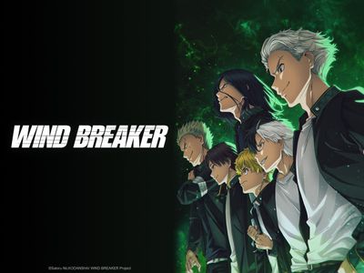 Wind Breaker Season 1: Where To Watch Every Episode | Reelgood