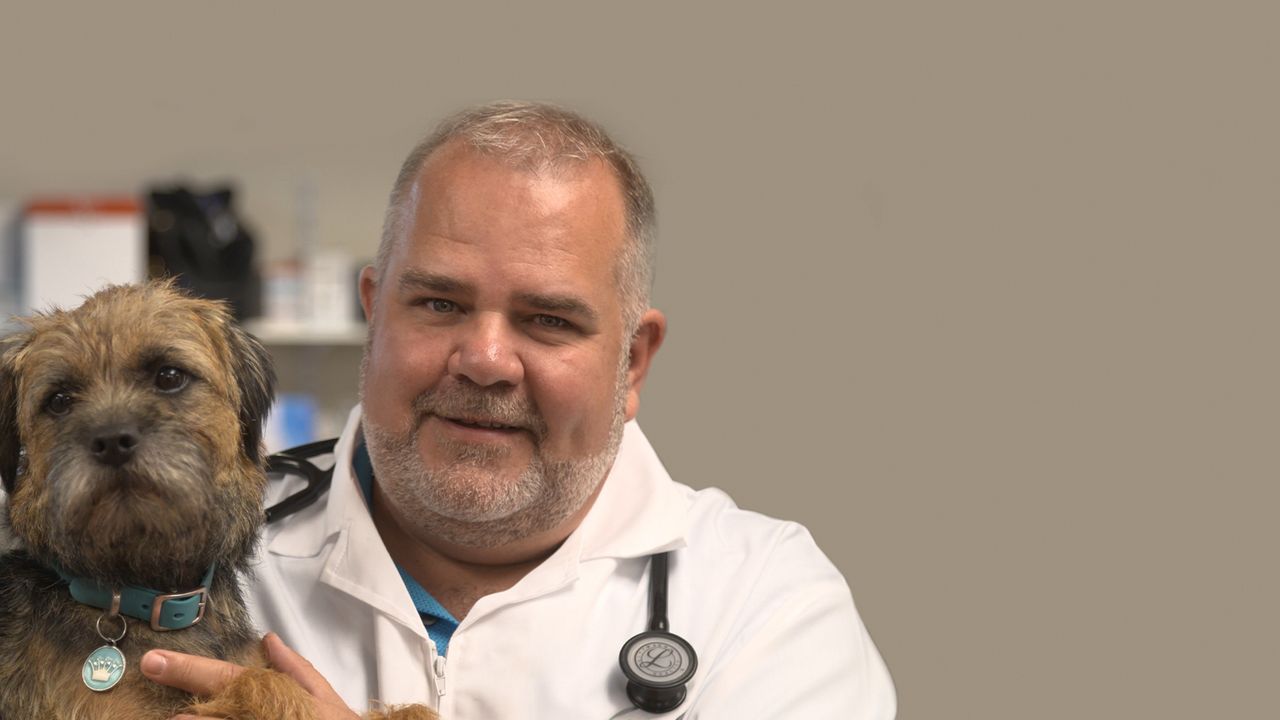 Doctor Barry: Where to Watch and Stream Online | Reelgood