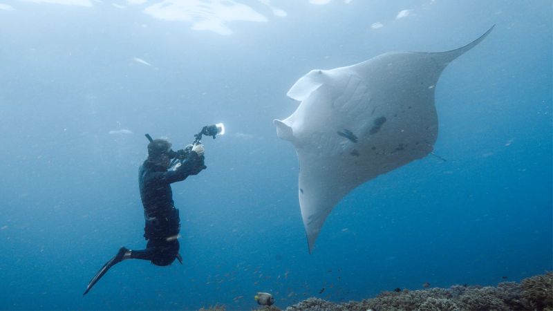 Tales by Light: Where to Watch and Stream Online | Reelgood