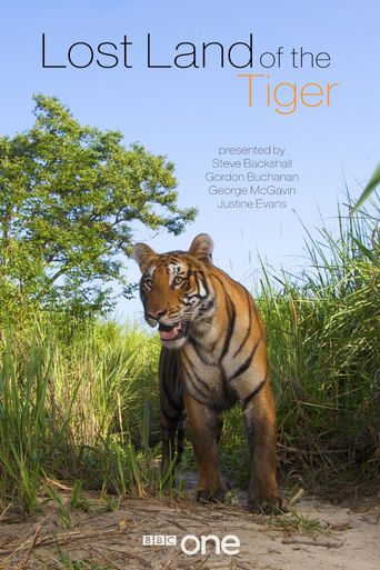 Lost Land of the Tiger Season 1: Where To Watch Every Episode | Reelgood