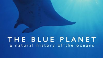 The Blue Planet Season 1 Episode 2 - Where to Watch and Stream Online ...