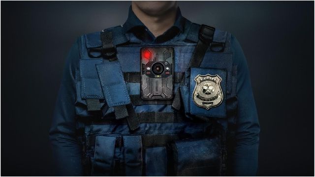 PD True: Where to Watch and Stream Online | Reelgood