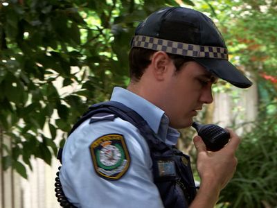 Beach Cops Season 1: Where To Watch Every Episode | Reelgood
