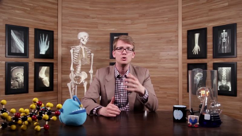 Crash Course Anatomy & Physiology: Where to Watch and Stream Online ...