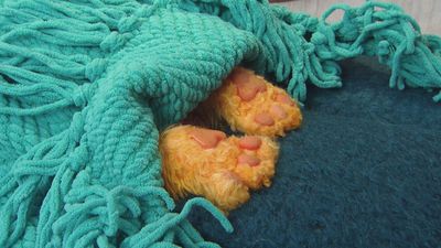 Snug's House: Where to Watch and Stream Online | Reelgood