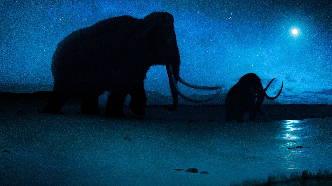 Lost Beasts of the Ice Age: Where to Watch and Stream Online | Reelgood