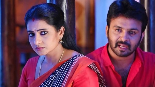 Pandian Stores 2 Season 2: Where To Watch Every Episode | Reelgood