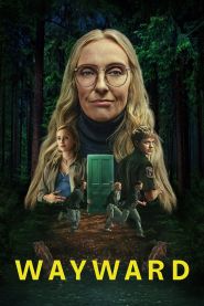 The Top Trending Shows Right Now - Top 50 | Reelgood