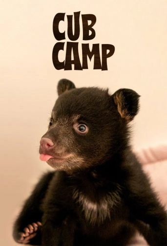 Cub Camp: Where to Watch and Stream Online | Reelgood