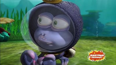 Shelldon Season 1: Where To Watch Every Episode | Reelgood