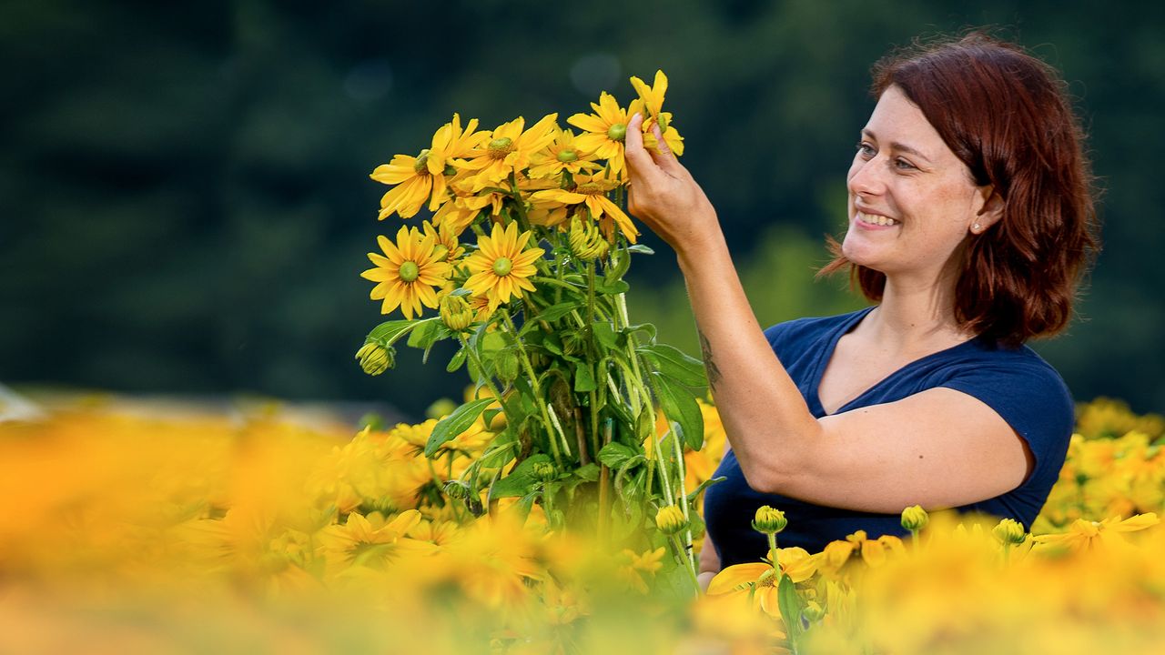 RHS Flower Show Tatton Park: Where to Watch and Stream Online | Reelgood