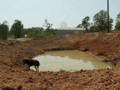 Mud Lovin' Rednecks Season 1: Where To Watch Every Episode | Reelgood