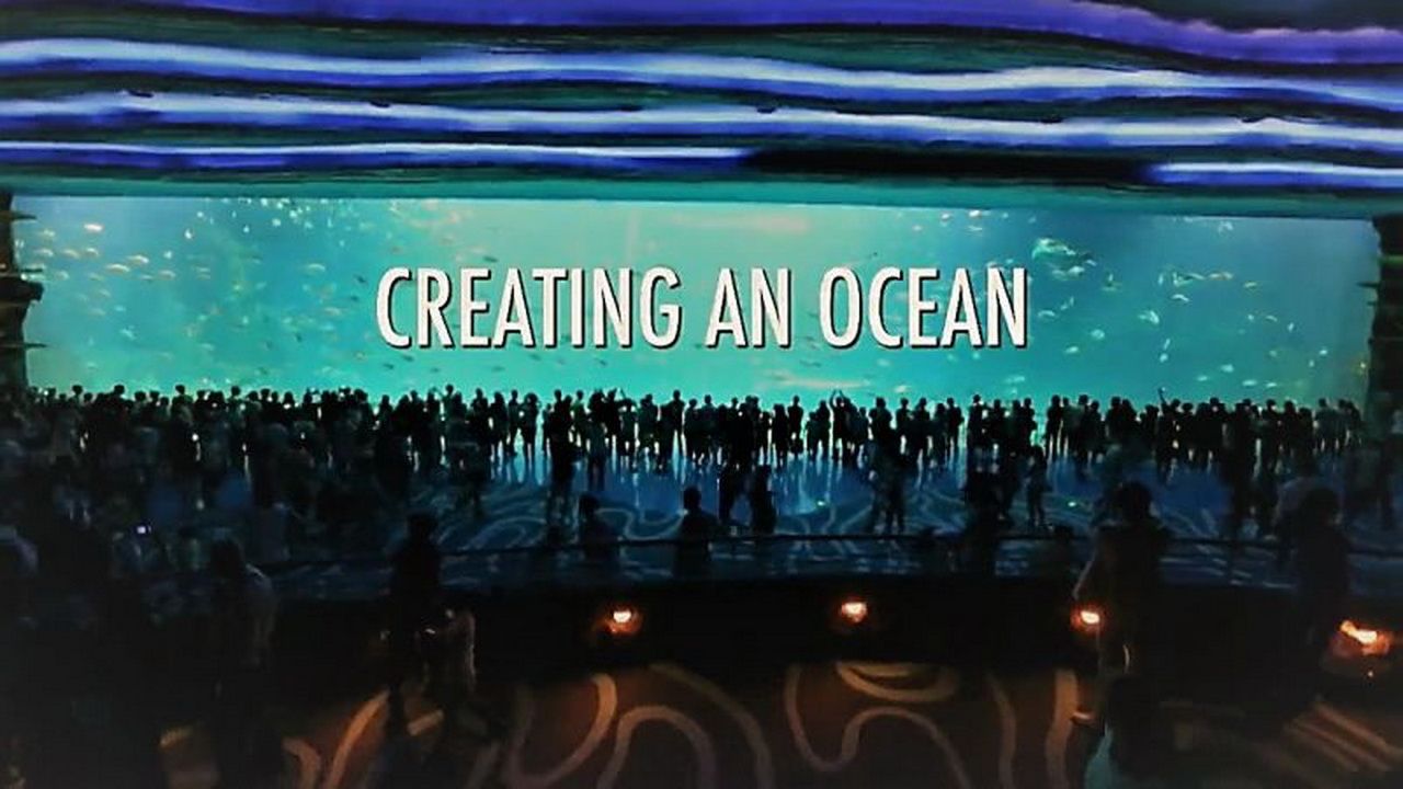 Creating an Ocean: Where to Watch and Stream Online | Reelgood