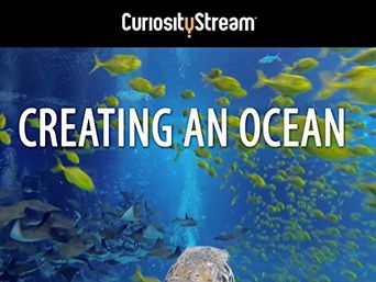 Creating an Ocean: Where to Watch and Stream Online | Reelgood