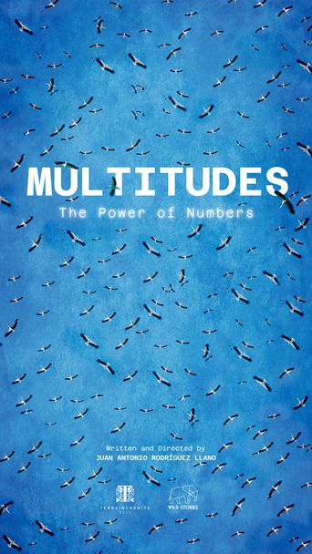 Multitudes: The Power of Numbers: Where to Watch and Stream Online ...